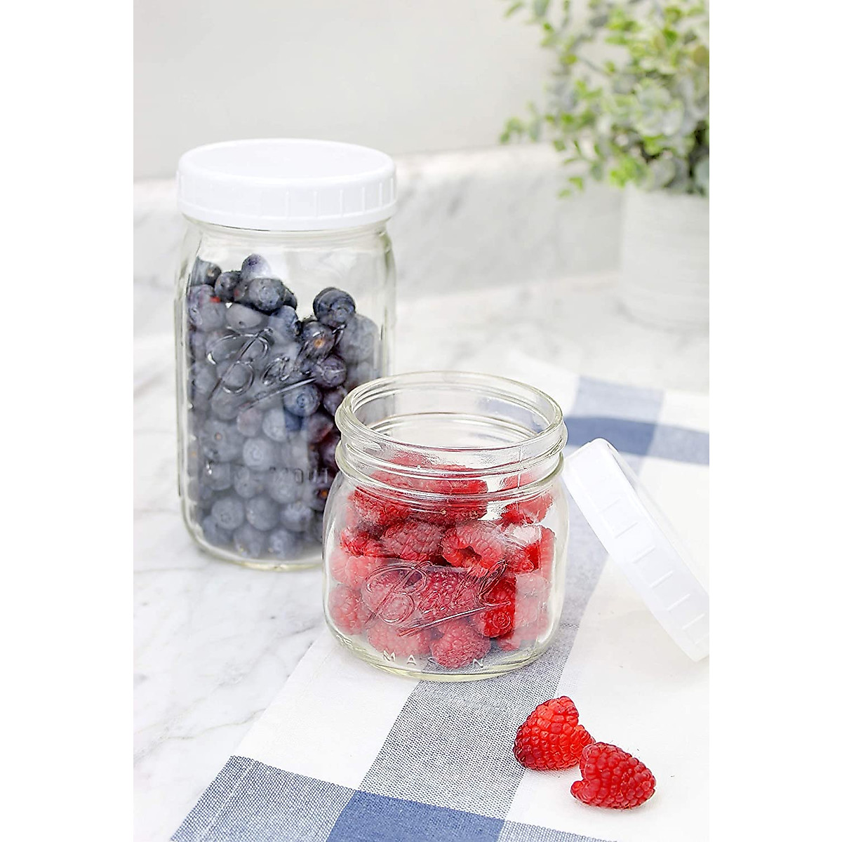 Cornucopia Wide Mouth Plastic Mason Jar Lids with Silicone Seal Rings (24-Pack Deluxe Set)