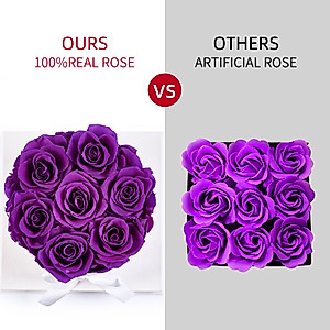 Graclect 7-Piece Preserved Roses in a Box for Delivery Prime - Forever Flowers - Immortal Roses Birthday Gifts for Her - Christmas & Valentines Day Gifts for for Mom/Girlfriend/Wife/Grandma - Purple…