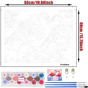 Similane Paint by Number for Adults Painting Perfect for Adult Paint by Numbers Kits On Canvas Home Wall Decor Gift No Frame (Flamingo-16x20 in)