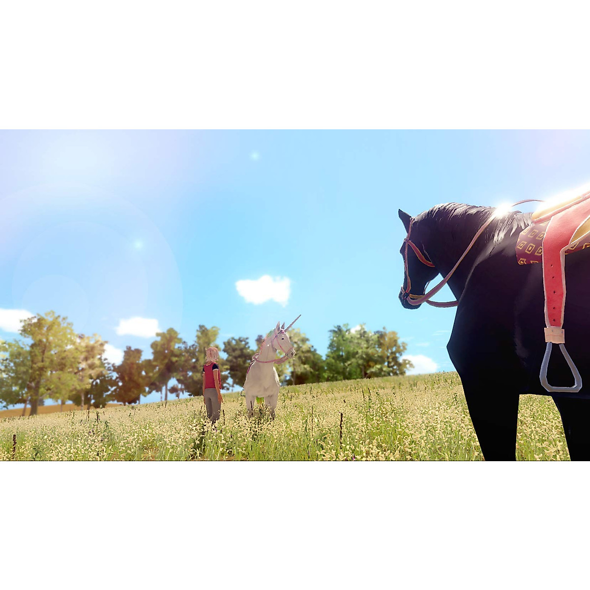 The Unicorn Princess - Nintendo Switch