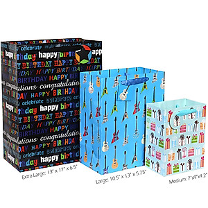 Fzopo Birthday Gift Bag Assortment with Ribbon Handle, 12 Pcs Premium Quality Assorted Sizes Paper Bags Set, XL 13x17x6.5, Large 12x15x4.8, Medium 7x9x4.2 inches, 6 Designs