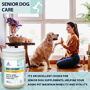 PURICA - Pet Recovery Extra Strength - Dog Supplement - Glucosamine Chews for Large & Small Breed Dogs - Hip & Joint Support - 360 Count (Pack of 1)