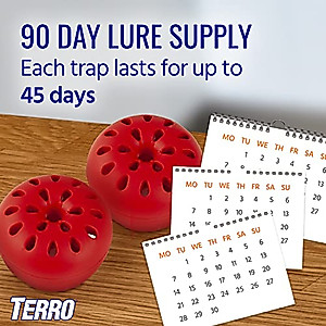 Terro T2503-3 Fruit Fly Trap