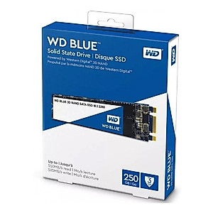 Western Digital 250GB WD Blue 3D NAND Internal PC SSD - SATA III 6 Gb/s, M.2 2280, Up to 550 MB/s - WDS250G2B0B