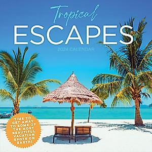 TF PUBLISHING 2024 Tropical Escapes Wall Calendar | Large Grids for Appointments and Scheduling | Vertical Monthly Wall Calendar 2024 | Home and Office Organization | Premium Gloss Paper | 12"x12”