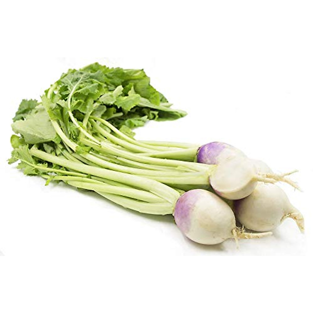 Purple Top Turnip Seeds for Planting, 1000+ Heirloom Seeds Per Packet, (Isla's Garden Seeds), Non GMO Seeds, Botanical Name: Brassica rapa subsp. rapa, Great Home Garden Gift