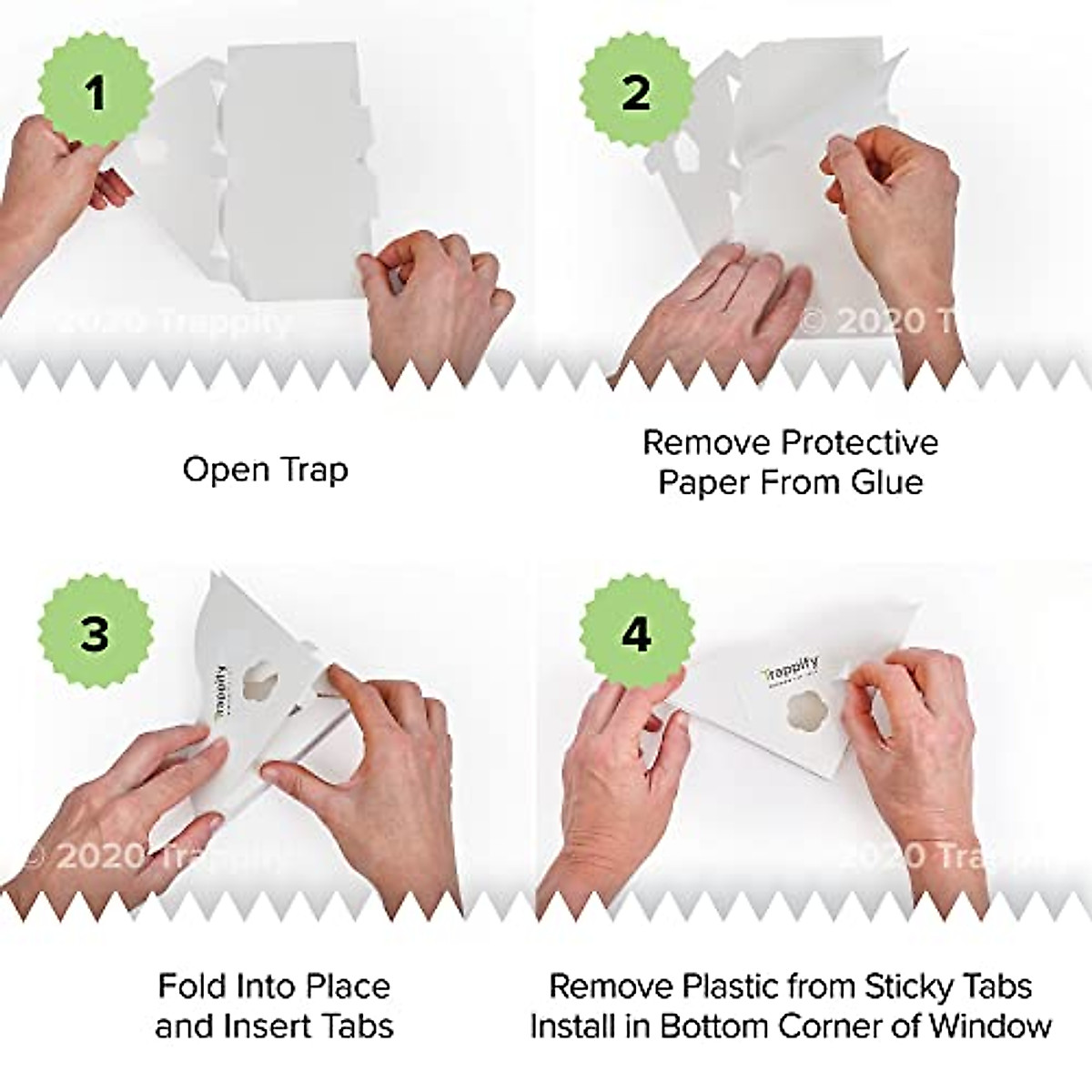Trappify Fly Traps Indoor for Home - Window Fly Traps - House Window Fruit Fly Traps for Indoors, Gnat - Disposable Indoor Fly Trap with Extra Sticky Adhesive Strips - Inside Bug Catchers (4)