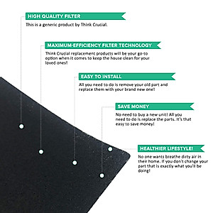 Think Crucial Replacement for Idylis A Carbon Filter, Fits IAP-10-100 and IAP-10-150, Compatible with IAF-H-100A and 302656