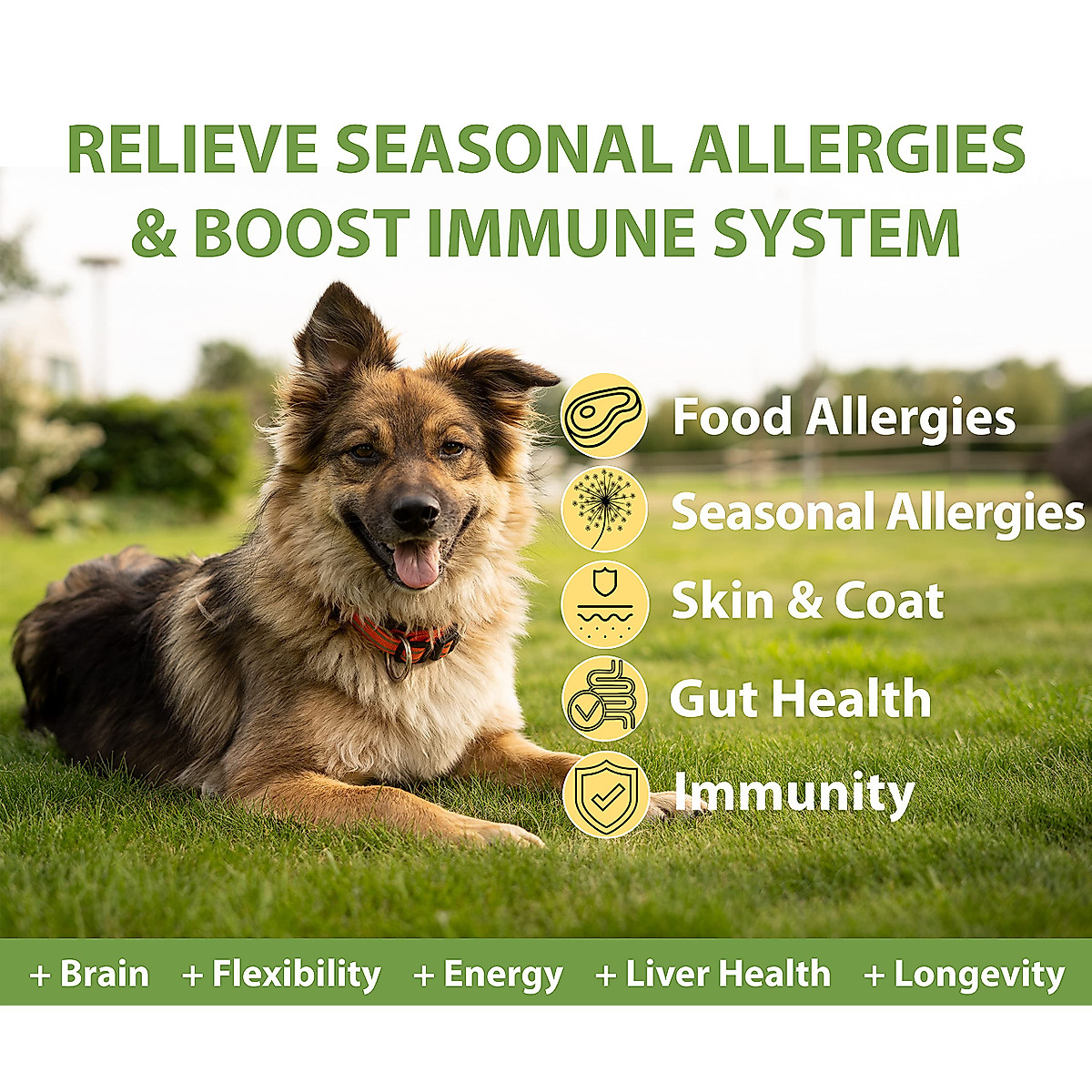 Googipet Dog Allergy Relief Chews - Immune Support Chews for Dog Itch Relief, Salmon Fish Oil for Dogs, Probiotics for Dogs Itchy Skin & Colostrum, Skin Hot Spot Treatment for Dogs & Allergy Relief