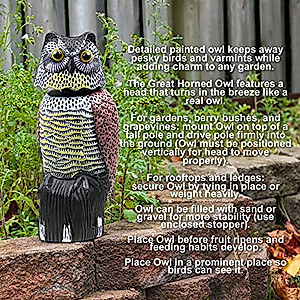 Galashield Owl Decoy to Scare Birds Away Scarecrow Fake Owl with Rotating Head