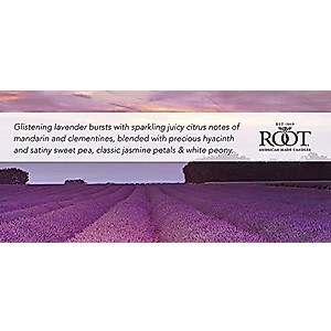 Root Candles Scented Candles Honeycomb Glass Premium Handcrafted Beeswax Blend 3-Wick Candle, 12-Ounce, Lavender Vanilla