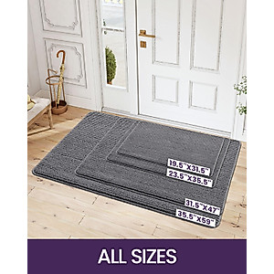 DEXI Door Mat Entryway Doormat Front Entrance Non-Slip Low Profile Washable for Inside Entry 19.5"x31.5",Grey