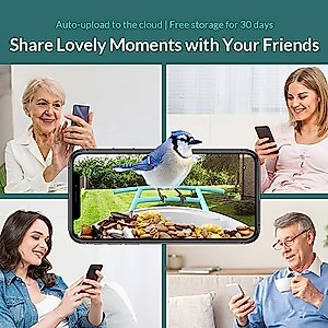 NETVUE Birdfy Lite - Smart Bird Watching Feeder with Auto Capture Videos & Motion Detection, Wireless Camera Ideal Gift for Bird Lovers
