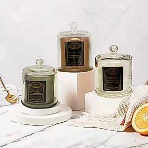 C. Fysikós Candles for Home Scented | Soy Candles for Home Scented | Aromatherapy Candles | Lavender Candle | Scented Candles | Glass Jar Candle | Candle Gifts for Women | Natural Soy Wax