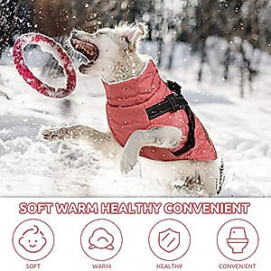 JUDYBRIDAL Dog Winter Jacket Pet Turtleneck Sweater for Cold Weather with Reflective Webbing, Warm Puppy Jacket Small Dog Winter Coats with Harness for Chihuahua Yorkie Dachshund Bulldog (M | Rose)