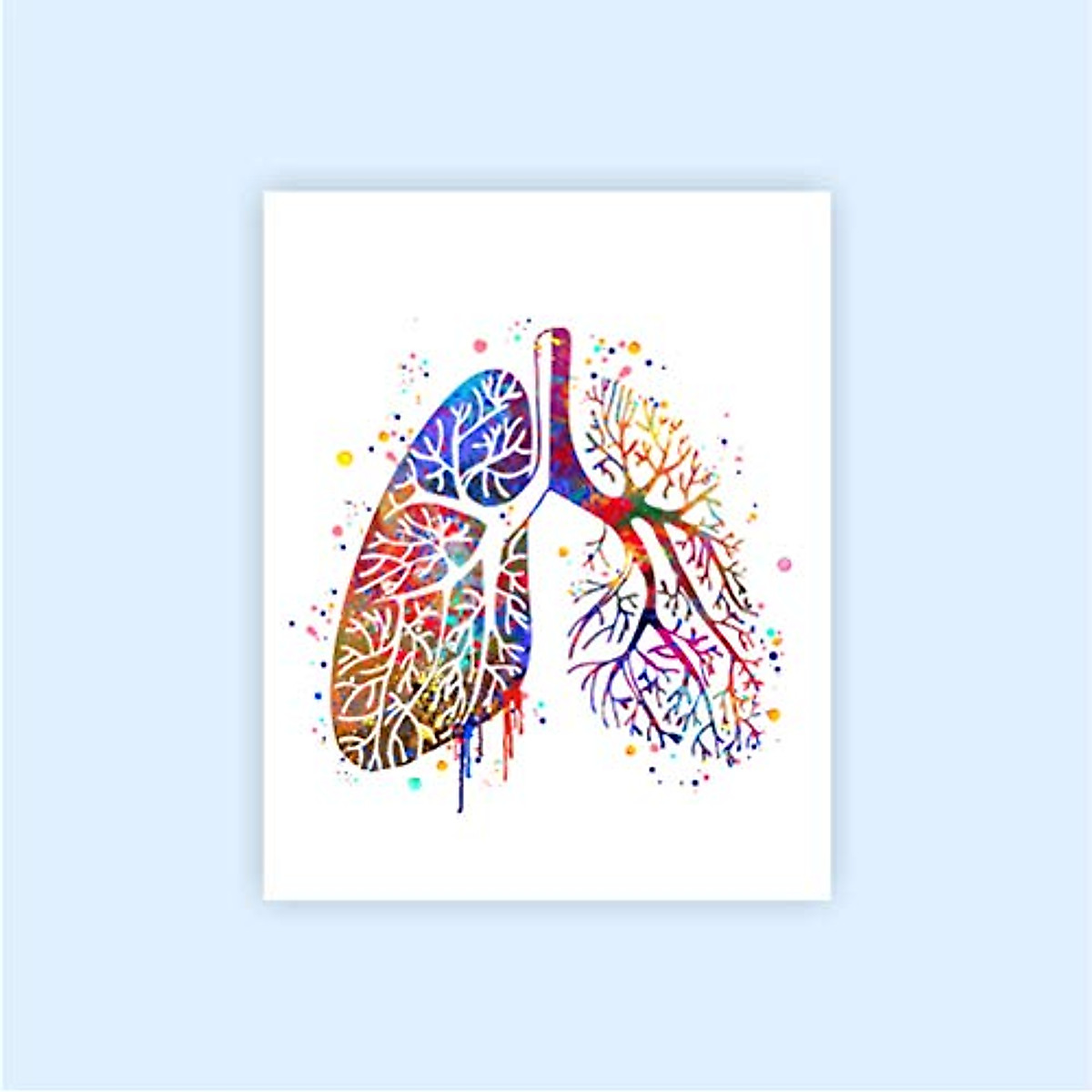 Dignovel Studios Unframed (Set of 3) 8X10 Human Anatomy Watercolor art print set Heart Lung Brain wall prints dnc23