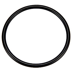 Pentair 273062 O-Ring Replacement Pool/Spa Pump and Valve