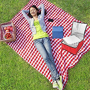 Cabilock Insulated Food Bag Pizza Delivery Bag Cake Packing Bag Insulated Grocery Shopping Bag for Camping Red