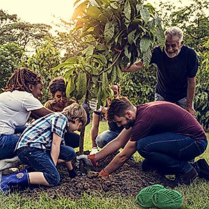 BBTO 30 Meter/ 98 Feet Green Garden Twine Garden Plant Tie Tree Tie Stretchy Plant Support Tie for Garden Office and Home Cable Organizing, Craft Supplies(1 Roll)