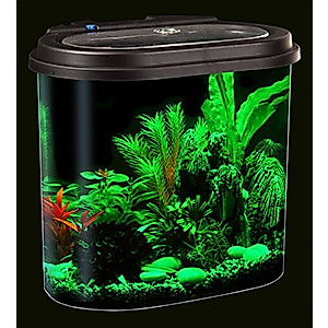Koller Products AquaView 4.5-Gallon Aquarium Starter Kit with Full Filtration and LED Lighting - 7 Dazzling Colors to Select