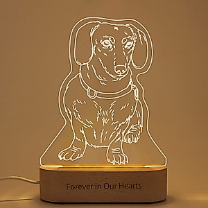 Magic Lunar Custom 3D Photo Lamp Personalized Portrait Illusion Night Light Cube Light Up Picture Engraved Plaque Frame Things Remembered 21th Birthday Gifts Using My Own Photos for Men Women Him Her