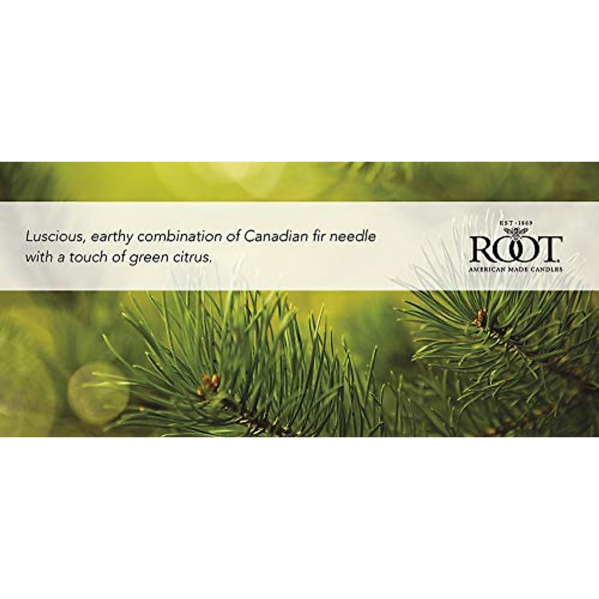 Root Candles Honeycomb Veriglass Scented Beeswax Blend Candle, Small, Fresh Balsam