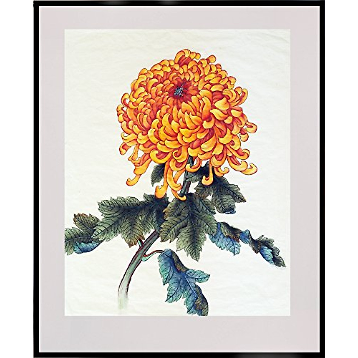 King Chrysanthemum
