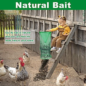 Dwcom 8 Packs Fly Traps Outdoor Hanging, Stable Fly Trap with Fly Bait, Reusable Fly Killer, Ranch Fly Trap, Fly Control Fly Hunter for Family Farm Park Orchard Garden