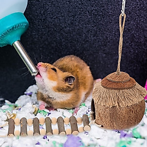 POPETPOP 2 Pcs Parrot Coconut Shell Nest Hamster Bed Natural Hanging Bed Hamster Hanging Bed Warm Sleeping Bag Hamster Warm Bed Pet Supplies Bird Resting Bed Hamster Hanging Nest Bird Nest