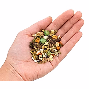 Birds LOVE All Natural Garden Blend Bird Food for Conures - Sunflower Free 2lb