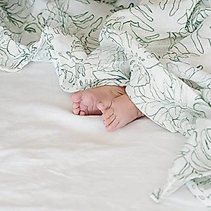 Red Rover Kids Cotton Muslin Swaddle - 47”x 47”- 100% Cotton – Machine Washable – Softer with Every Wash – Playful Designs -Soft, Breathable & Lightweight – Unisex (Jungle Leaf)