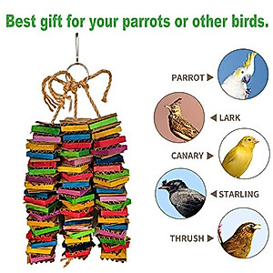 Parrot Toys for Medium Birds, Cardboard Bird Toys African Grey Parrot Toys, Natural Wooden Bird Cage Chewing Toy with Clip for Small Medium Parrots and Birds Cockatiel Conure