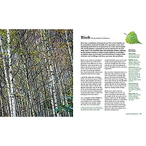 The Big Book of Backyard Medicine: The Ultimate Guide to Home-Grown Herbal Remedies