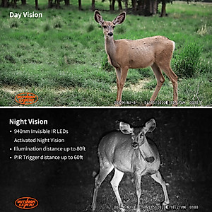 OUTDOOR EXPERT 20MP Mini Trail Camera,1080P Hunting Trail Camera with No Glow 940nm Night Vision Motion Activated IP66 Waterproof,80ft Illumination Range Hunting Game Cam for Wildlife Monitoring