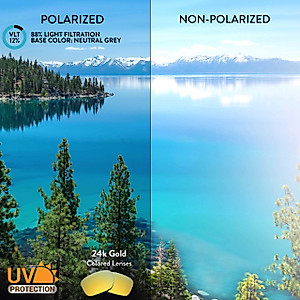 Apex Lenses Polarized PRO Replacement Lenses for Ray-Ban RB3509 Sunglasses (24K Gold)