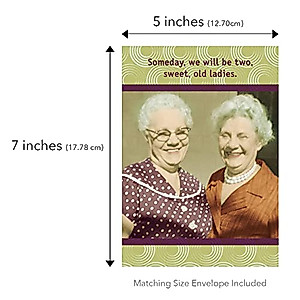 SHADE TREE GREETINGS Funny Women's Birthday Greeting Card (5" x 7") by Actual Pictures | 3 Pack + 3 Envelopes (Two Old Ladies)
