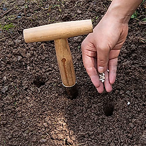 RainboWiner Garden Hand Dibber with Measurements, Bulb Planter Tool - 11 Inch Wooden Handle Stainless Steel Handheld Gardening Dibbler for Garlic Tulip Daffodil Vegetable Seed Planting