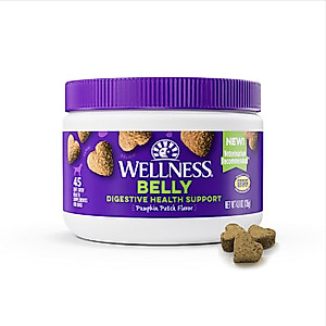 Wellness Pumpkin Patch Flavored Soft Chew Digestive Health Supplements for Dogs, 45 Count
