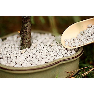 Bonsai Outlet Horticultural Pumice for Plants - Tinyroots Succulents, Cactus, Bonsai Plants - 100% Pure Bonsai Pumice Rocks, 1/4 inch Soil Additive, 2 Quarts