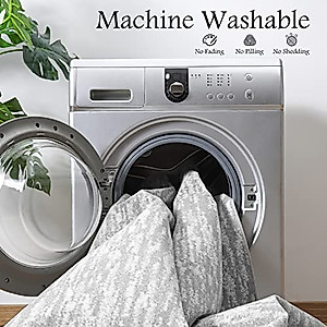 tchdio 5x7 Area Rugs-Washable Rug-Modern Abstract Area Rugs for Living Room Bedroom Dinning Room Laundry Room Study Room