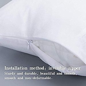 NTBAY 2 Pack 100% Brushed Microfiber 13x18 Zippered Toddler Pillowcases, Super Soft and Cozy Travel Kids Nursery Pillow Cases, 13x18 Inches, White