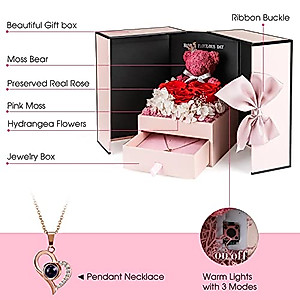ADDWel Preserved Real Red Roses Gifts for Her, Cute Moss Bear and Meaningful Forever Roses with I Love You Necklace 100 Languages Present for Girlfriend Wife Mom from Husband Boyfriend Daughter Son