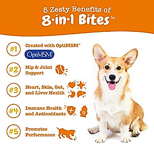 Multifunctional Supplements for Dogs - Glucosamine Chondroitin for Joint Support with Probiotics for Gut & Immune Health – Omega Fish Oil with Antioxidants and Vitamins for Skin & Heart Health