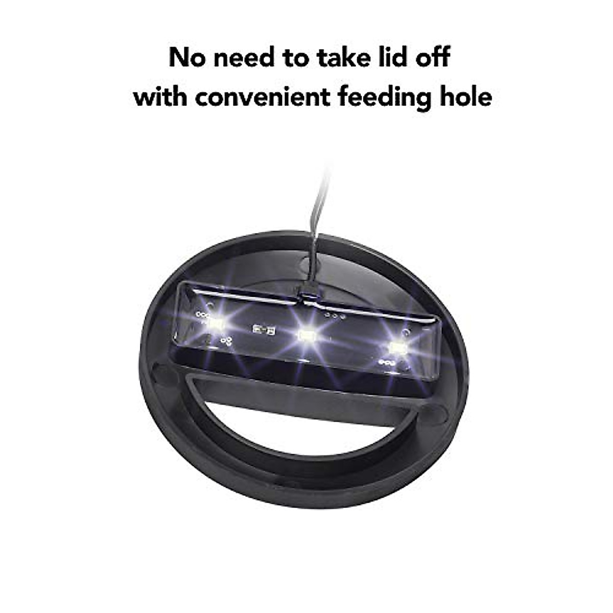 Aqueon Mini Cube Kit Black 1.6 Gallon 1.6 Gallons