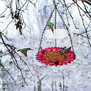 ERYTLLY Hanging Bird Feeder and Bath for Outside, Metal Wild Bird Feeder for Outdoors Garden Backyard Balcony Decor, Large Platform Bird Seed Water Feeders Tray, Bird Watching Gift, Red