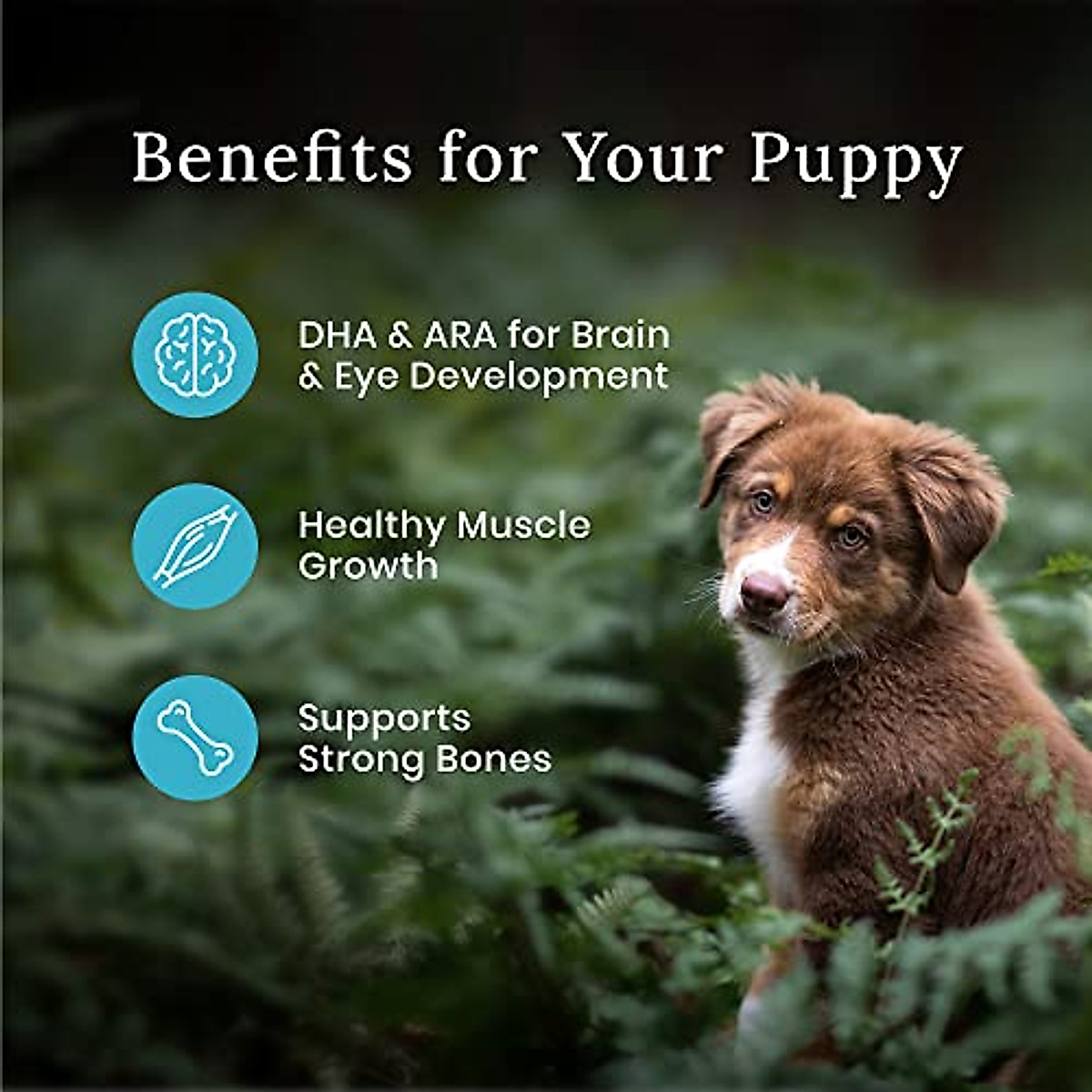 Blue Buffalo Wilderness Rocky Mountain Recipe High Protein Natural Puppy Dry Dog Food, Red Meat with Grain 24 lb Bag