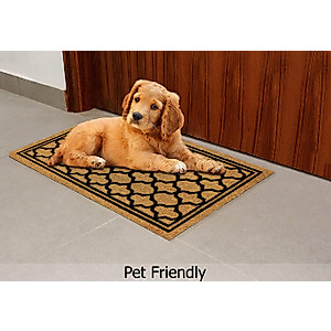 IRONGATE Welcome Doormat - Non Slip Dirt Trapping Chevron Tile Print Coco Coir Door Mat - Low Profile Front Doormat - Indoor Outdoor Durable Easy Clean High Traffic Area Patio Entryway Doormat -17x30