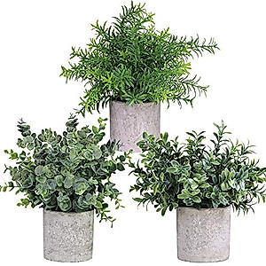 Winlyn Mini Potted Plants Artificial Eucalyptus Boxwood Rosemary Greenery in Pots Faux Potted Herbs Small Houseplants 8.3"-9" Tall for Indoor Greenery Tabletop Décor Centerpiece 3 Pack