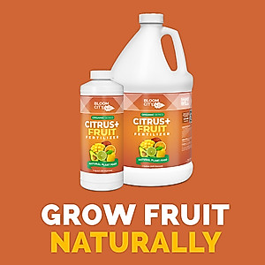 Bloom City's Organic Citrus & Fruit Fertilizer for Fruit Trees - Citrus Tree Fertilizer for Potted Trees - Perfect Lemon Tree Fertilizer, Quart (32 oz)