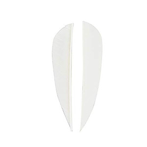 AMEYXGS 50 Pcs 3/4/5 Inch Archery Arrow Fletching Turkey Feather Fletching Right Wing Left Wing Feather Real Arrow Vanes for Hunting Arrow Accessories DIY Archery (white, 5 inch/left wing)